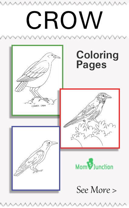 Crows and ravens coloring pages