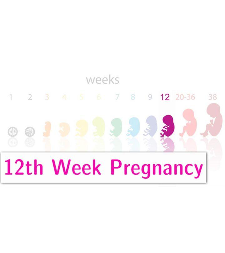 12th Week Pregnancy: Symptoms, Baby Development And Body Changes