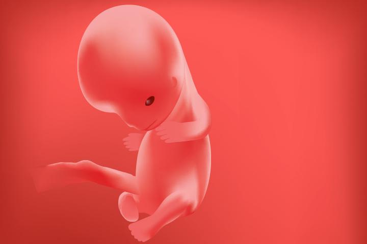 10th Week Pregnancy: Signs, Baby Development, Tips And Size