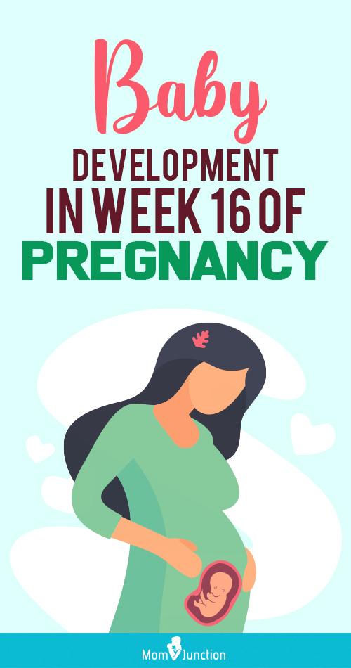16th Week Pregnancy - Symptoms, Baby Development, Tips And Body Changes