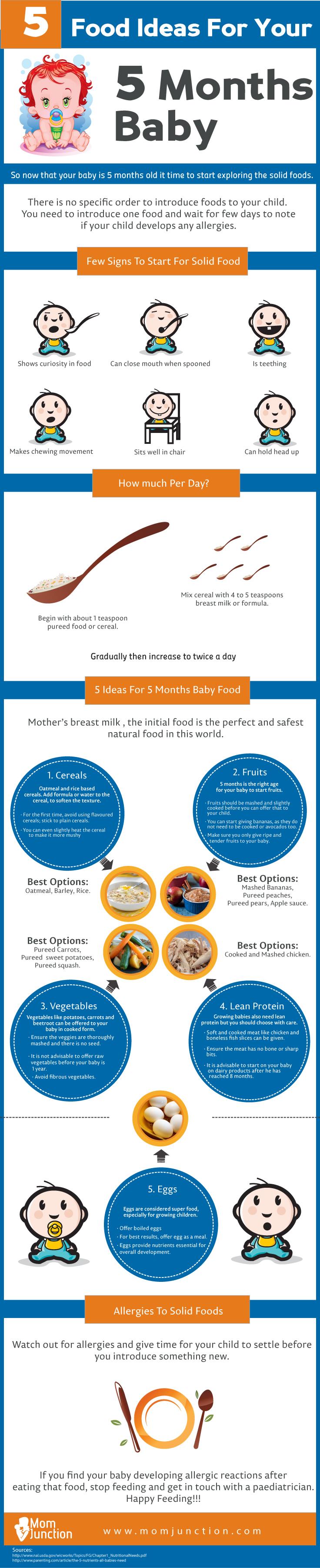 Top 5 Ideas For 5 Months Baby Food