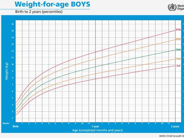 Baby Boy Height And Weight Growth Chart to Track