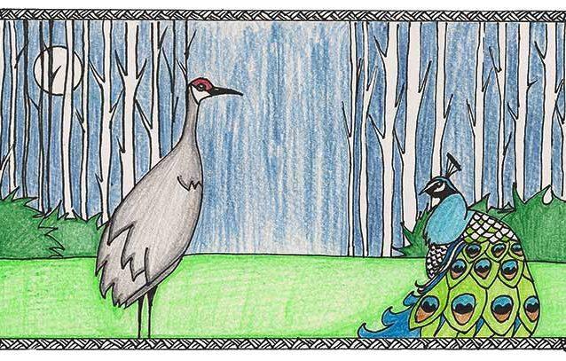 'The Peacock And The Crane Story' For Your Kids
