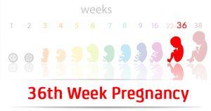 36th Week Pregnancy: Symptoms, Baby Development And Bodily Changes