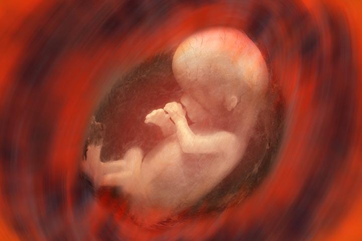 5 Major Phases Of Fetal Lung Development