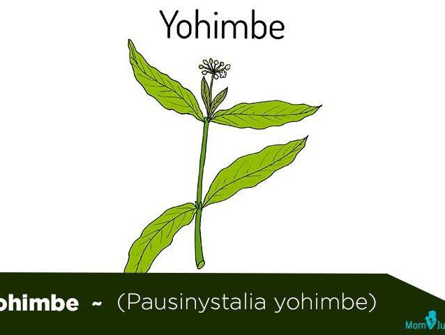 20 Fertility Herbs For Men And Women: Things You Should Know