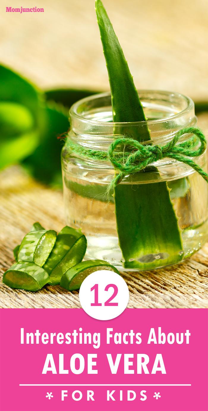 12 Interesting Facts About Aloe Vera For Kids