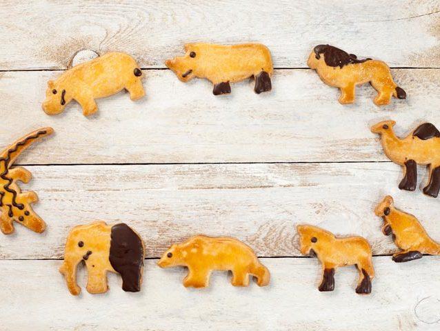 10 Interesting Hippo Crafts For Preschoolers