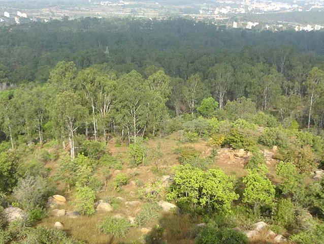 20 Wonderful Parks In Bangalore To Hang Out With Kids