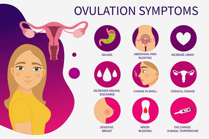 Ovulation Period In Tamil ovulation-period-in-tamil