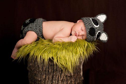 200+ Magnificent And Noble Tree Names For Girls And Boys