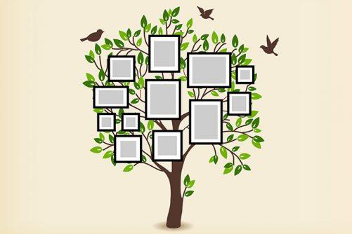 8 Easy Family Tree Drawing Ideas For Kids, With Steps – BIGGERFIVE
