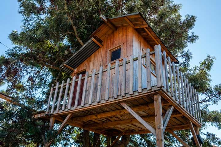 6 Tips for Building A Tree House With Kids And 20 DIY Ideas