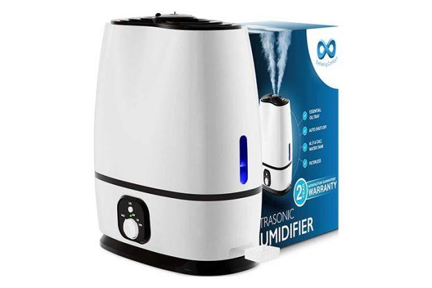 Best Humidifier Without Filter | Gas Furnace