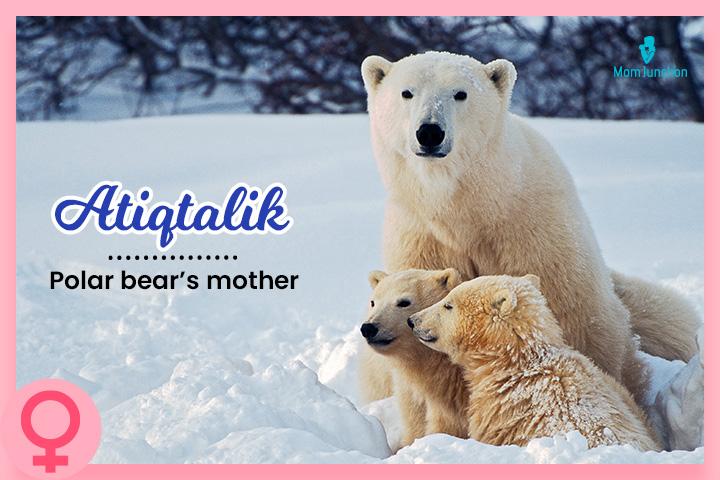 100 Cool And Cute Baby Names That Mean Bear