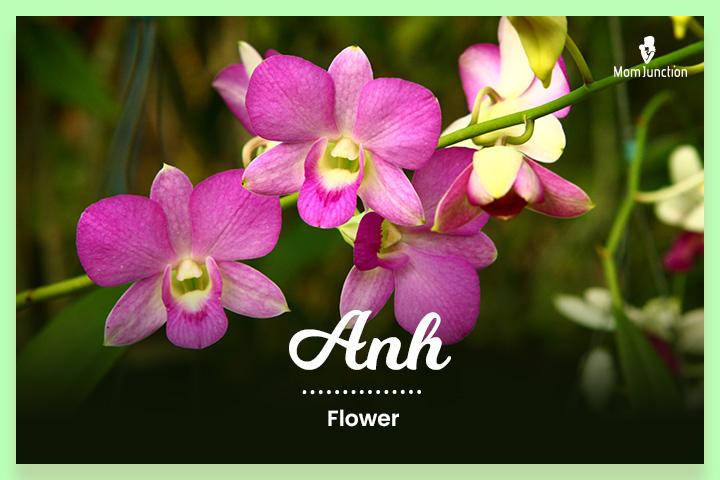 120 Popular Vietnamese Last Names Or Surnames, With Meanings