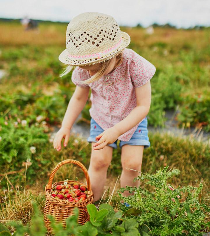 20 Farm Activities For Preschoolers And Toddlers BabySetGo 20 Farm Activities For Preschoolers And Toddlers BabySetGo