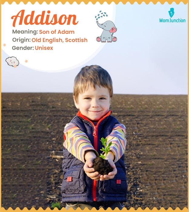 Addison Name Meaning Origin History And Popularity MomJunction