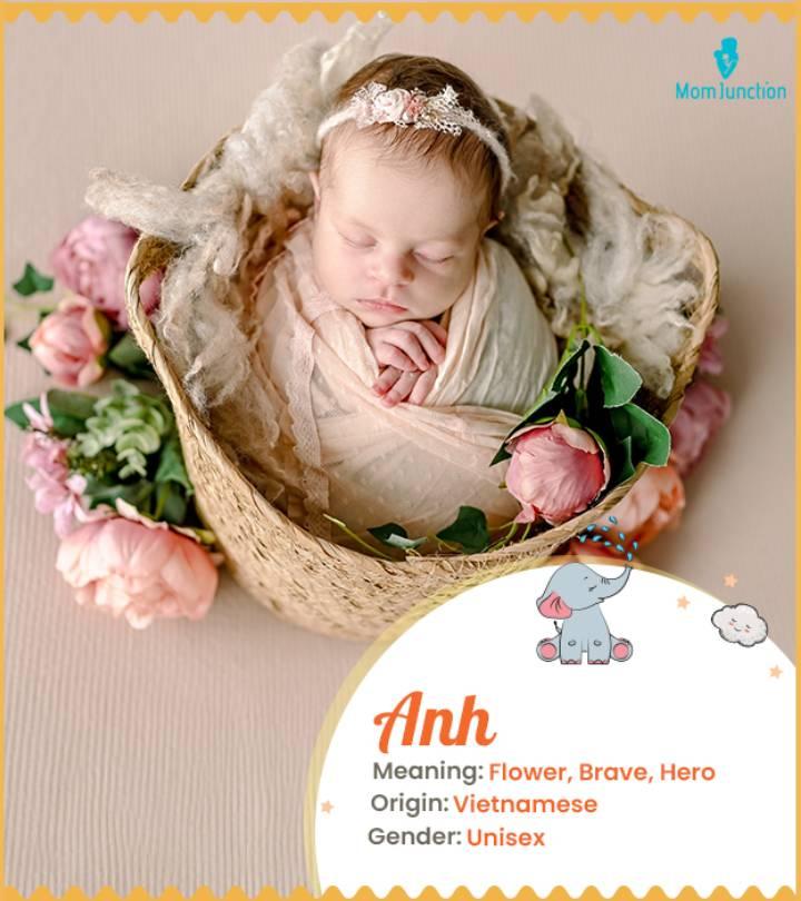 Anh Name Meaning, Origin, History, And Popularity