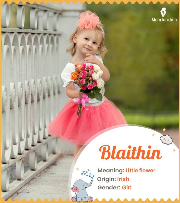 Origin, Meaning & Other Facts About Baby Name Blaithin Baby Name ...