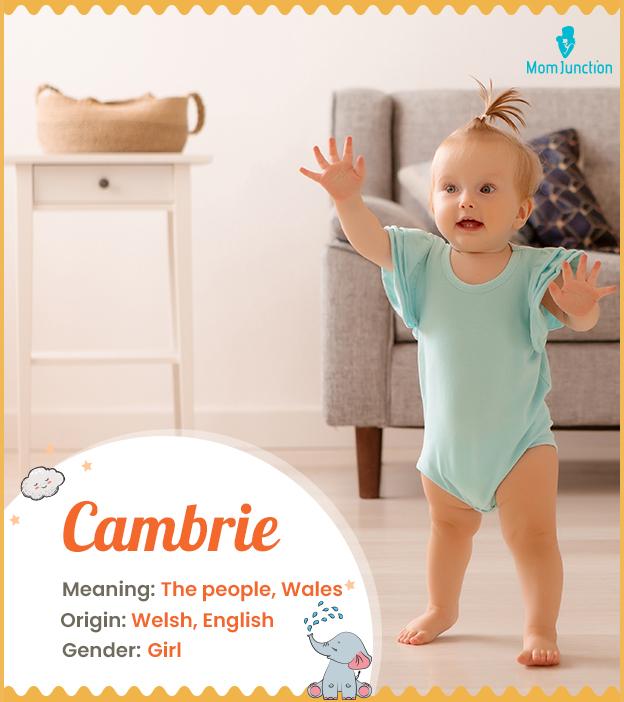 Cambrie Name Meaning, Origin & Popularity: Guide For 2025: Meaning ...