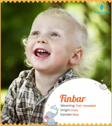 Finbar Name Meaning, Origin, History, And Popularity | MomJunction