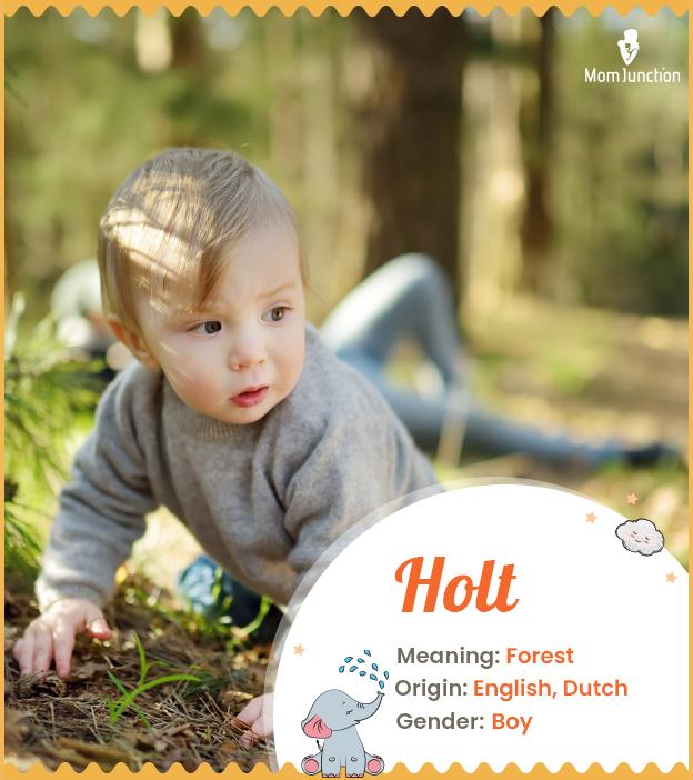 Explore Holt: Meaning, Origin & Popularity