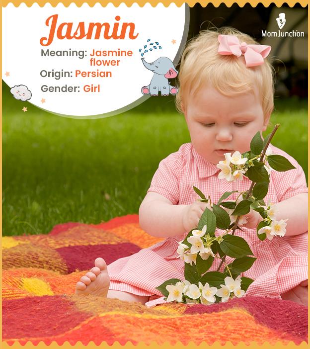 Jasmine Name Meaning Personality Jasmine Name Meaning Personality