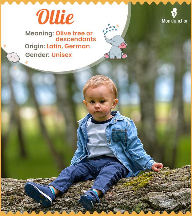 Ollie Name Meaning And Origin Comprehensive Guide Ollie Name Meaning And Origin Comprehensive Guide