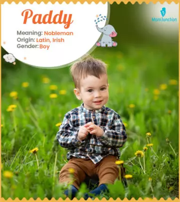 Paddy Name Meaning, Origin, History, And Popularity | MomJunction