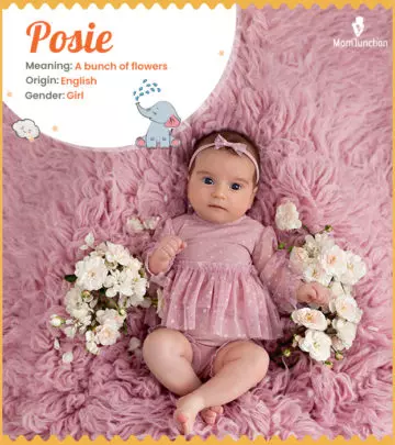 Posie Name Meaning, Origin, History, And Popularity | MomJunction