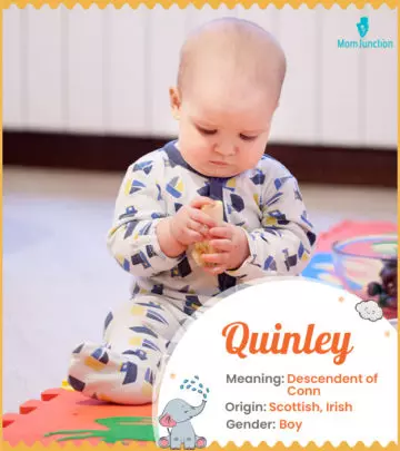 Quinley Name Meaning, Origin, History, And Popularity | MomJunction