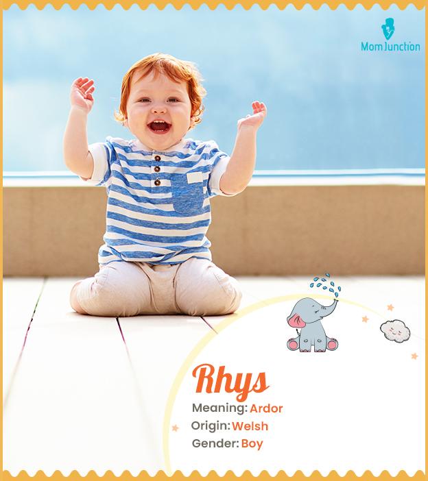 Rhys Name Meaning, Origin, History, And Popularity