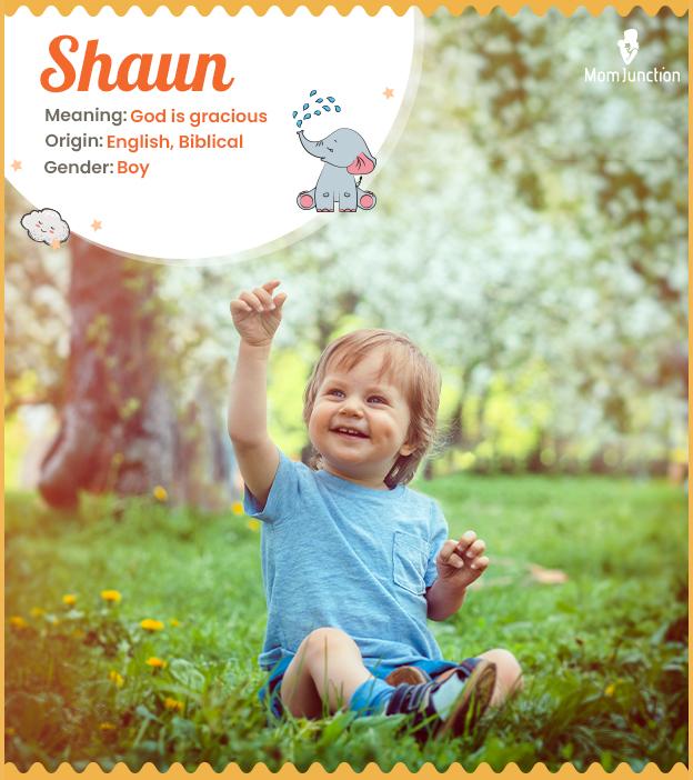 Shaun Name Meaning Origin History And Popularity MomJunction