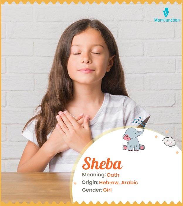 Sheba Name, Meaning, Origin, History, And Popularity