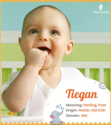 Tiegan Name Meaning, Origin, History, And Popularity | MomJunction