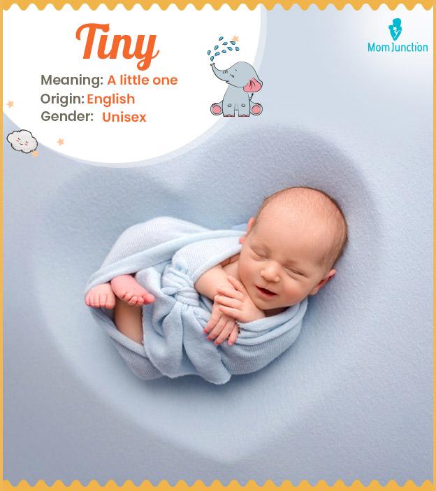 Explore Tiny Meaning Origin Popularity Explore Tiny Meaning Origin Popularity