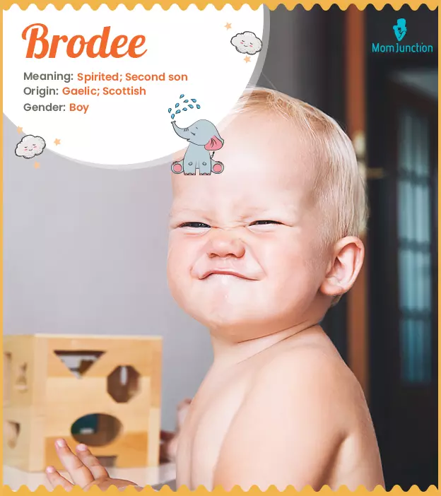 Brodee Name Meaning, Origin, History, And Popularity | MomJunction