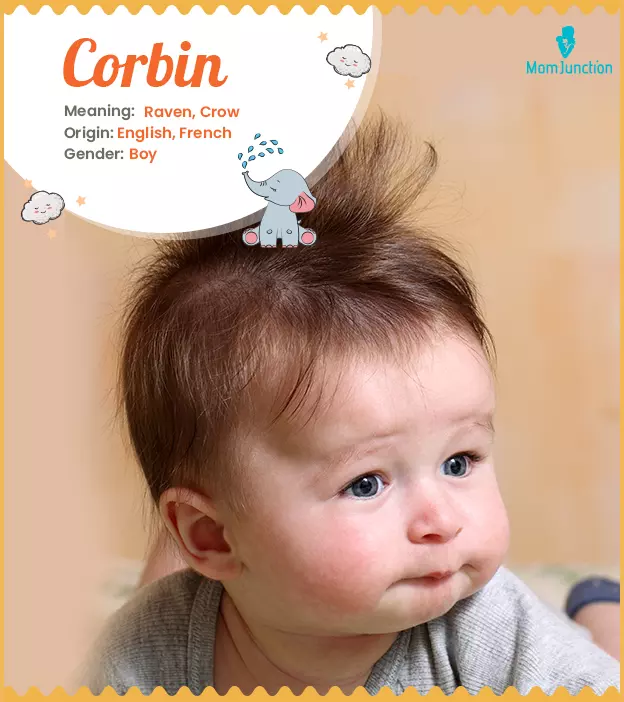 Corbin Name Meaning, Origin, History, And Popularity | MomJunction