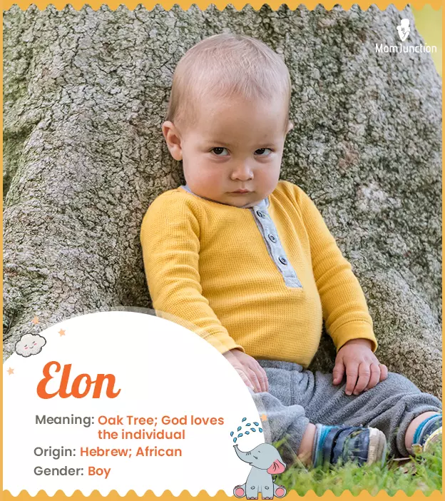 Elon Name Meaning, Origin, History, And Popularity | MomJunction