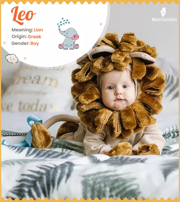 Leo Name Meaning, Origin, History, And Popularity | MomJunction