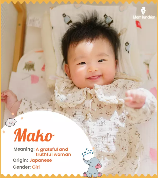 Mako Name, Meaning, Origin, History, And Popularity | MomJunction
