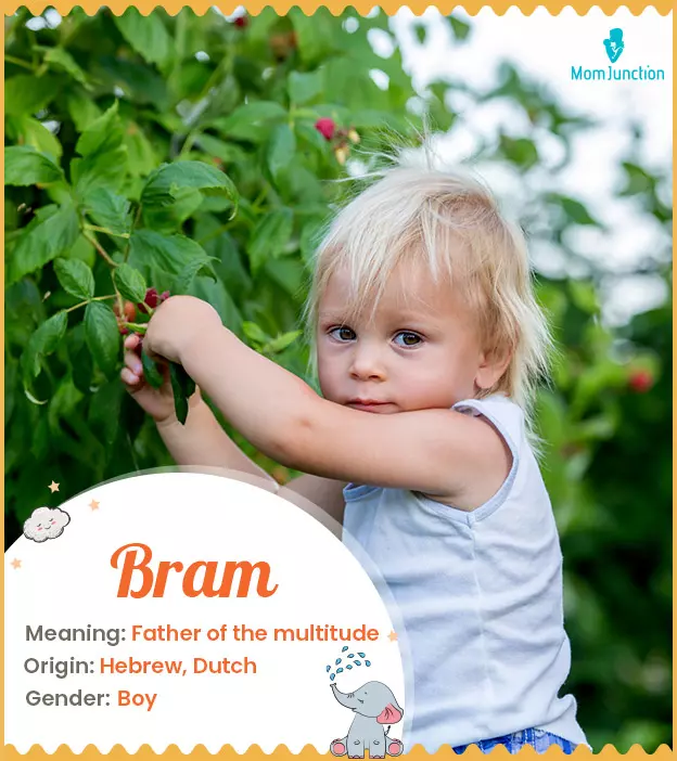 Bram Name Meaning, Origin, History, and Popularity | MomJunction