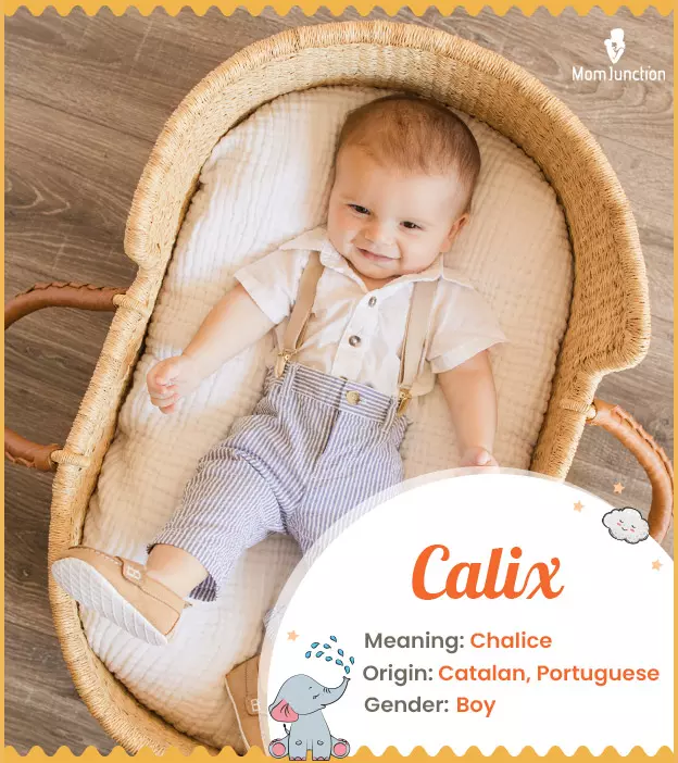 Calix Name Meaning, Origin, History, And Popularity | MomJunction