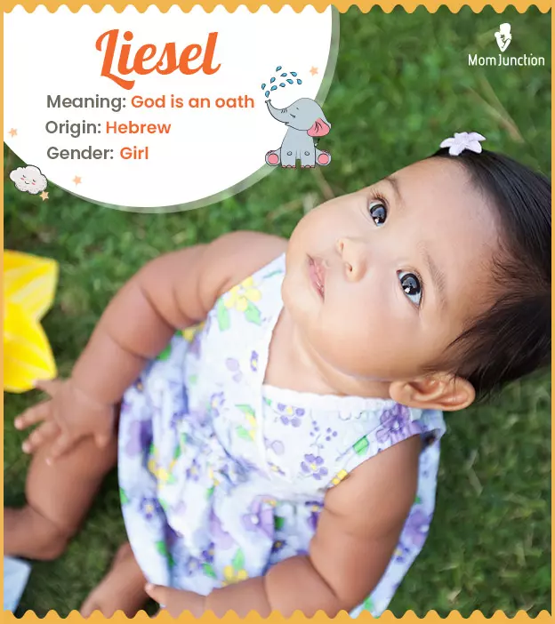 Liesel Name Meaning, Origin, History, And Popularity | MomJunction