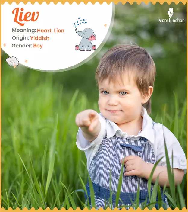 Liev Name Meaning, Origin, History, And Popularity | MomJunction