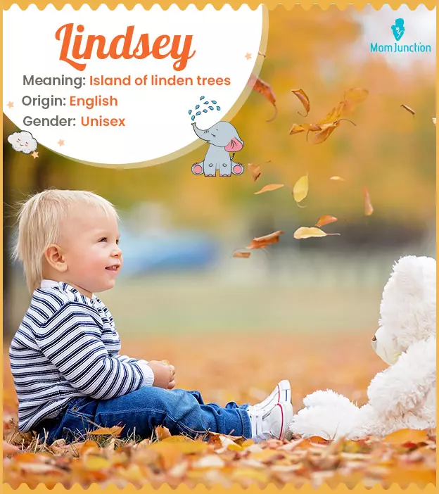 Lindsey Name Meaning, Origin, History, And Popularity | MomJunction