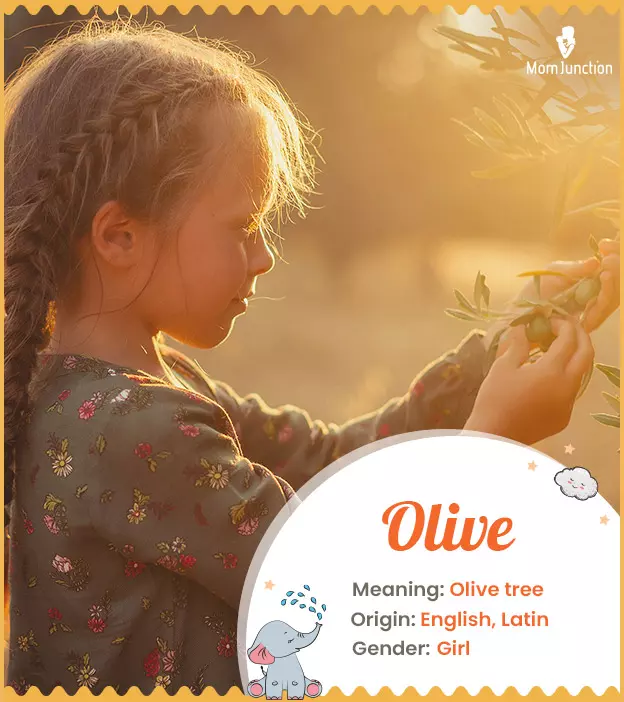Olive Name Meaning, Origin, History, And Popularity | MomJunction