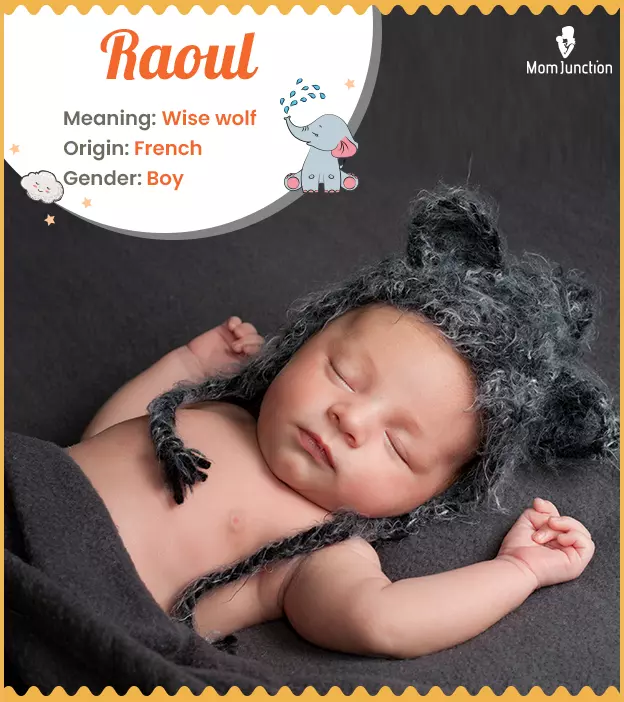 Raoul Name Meaning, Origin, History, And Popularity | MomJunction