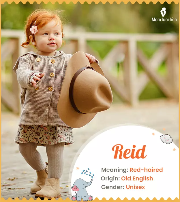 Reid Name Meaning, Origin, History, And Popularity | MomJunction